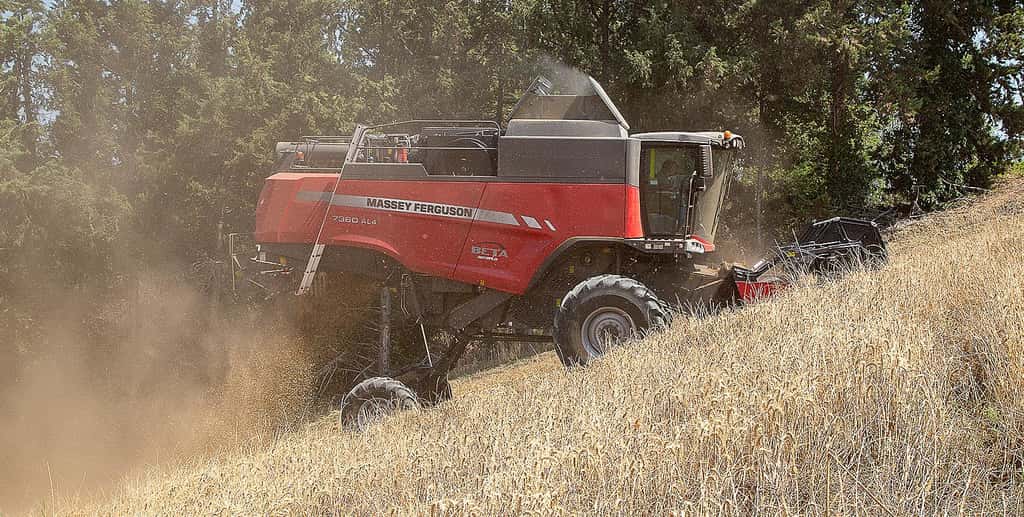 Hangmähdrescher Beta AL4 von Massey Ferguson: Mit dem Hang zur Vorsicht