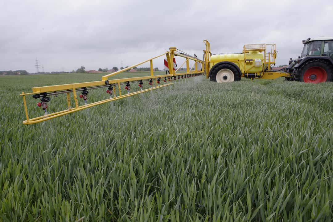 Dubex meldet Insolvenz an | profi online | profi