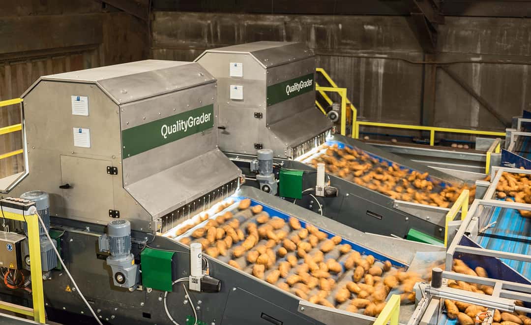 Optische Sortierer für Kartoffeln: Knollen-Kontrolle | profi
