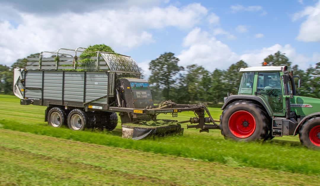 Frischgrasfütterung mit dem Zero Grazer | profi