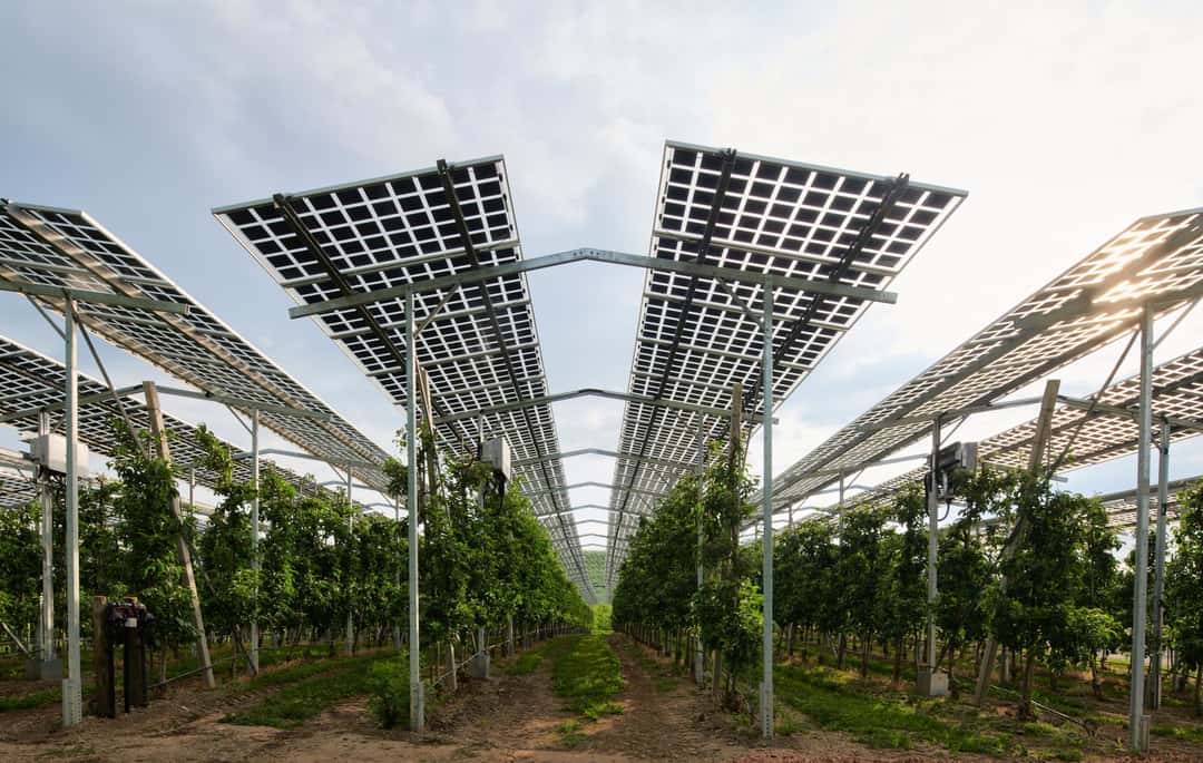 Flächenpotenzial für Agri-PV ist groß | profi