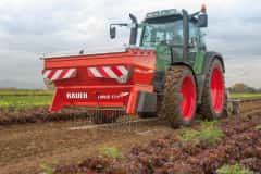 Rauch: Linus | profi online | profi