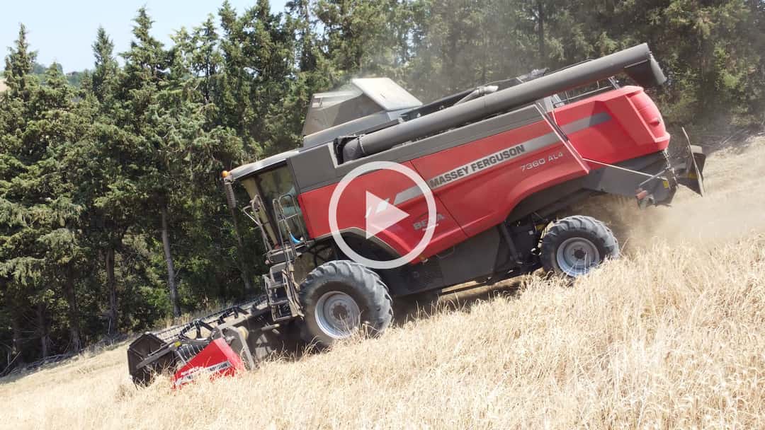 Massey Ferguson Beta AL4 | profi