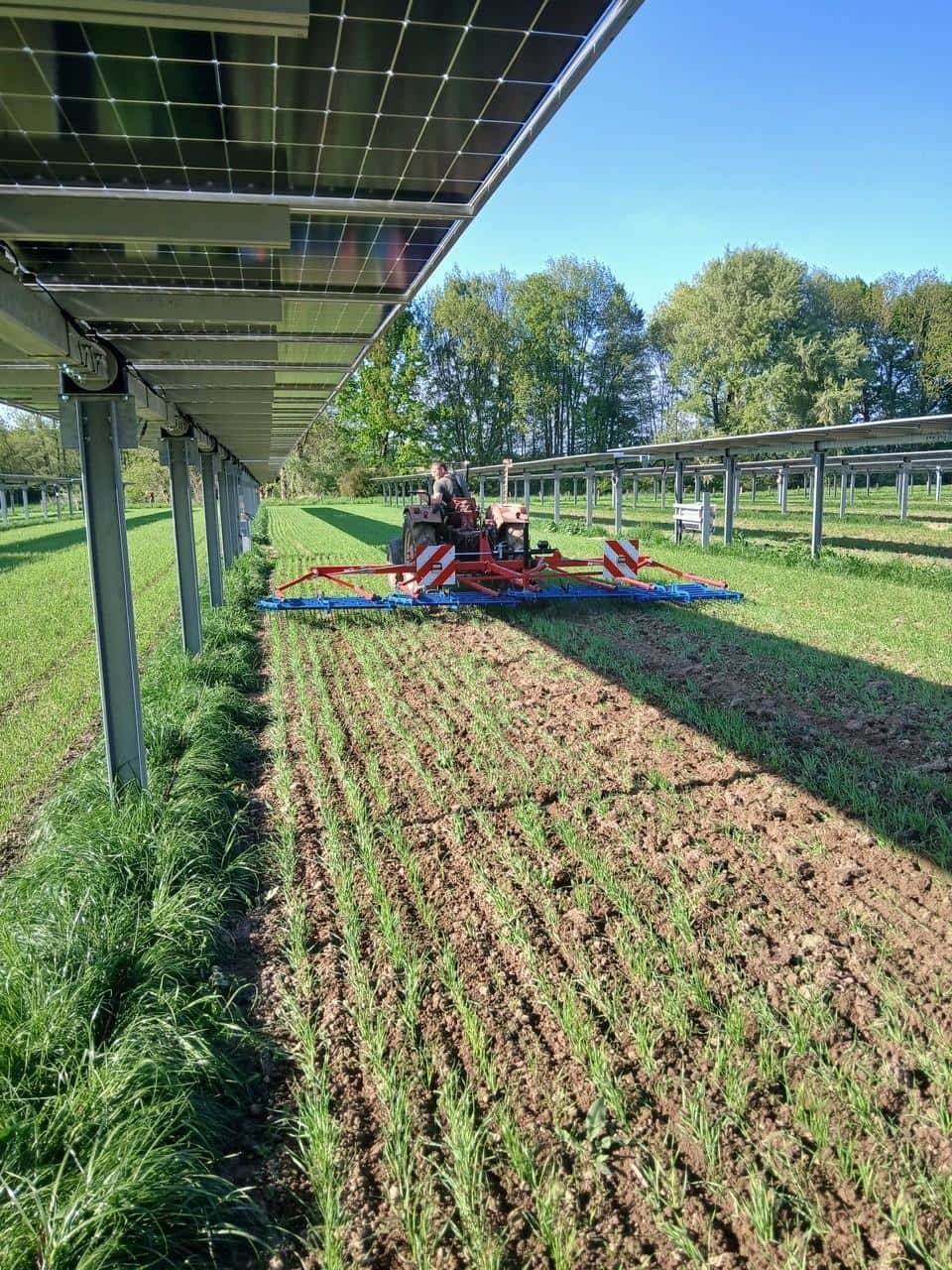 Agri-PV mit Bausätzen und Eigenleistung | profi