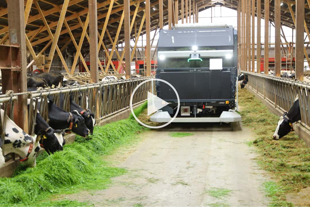 Autonome Frischgrasfütterung mit dem Lely Exos | profi