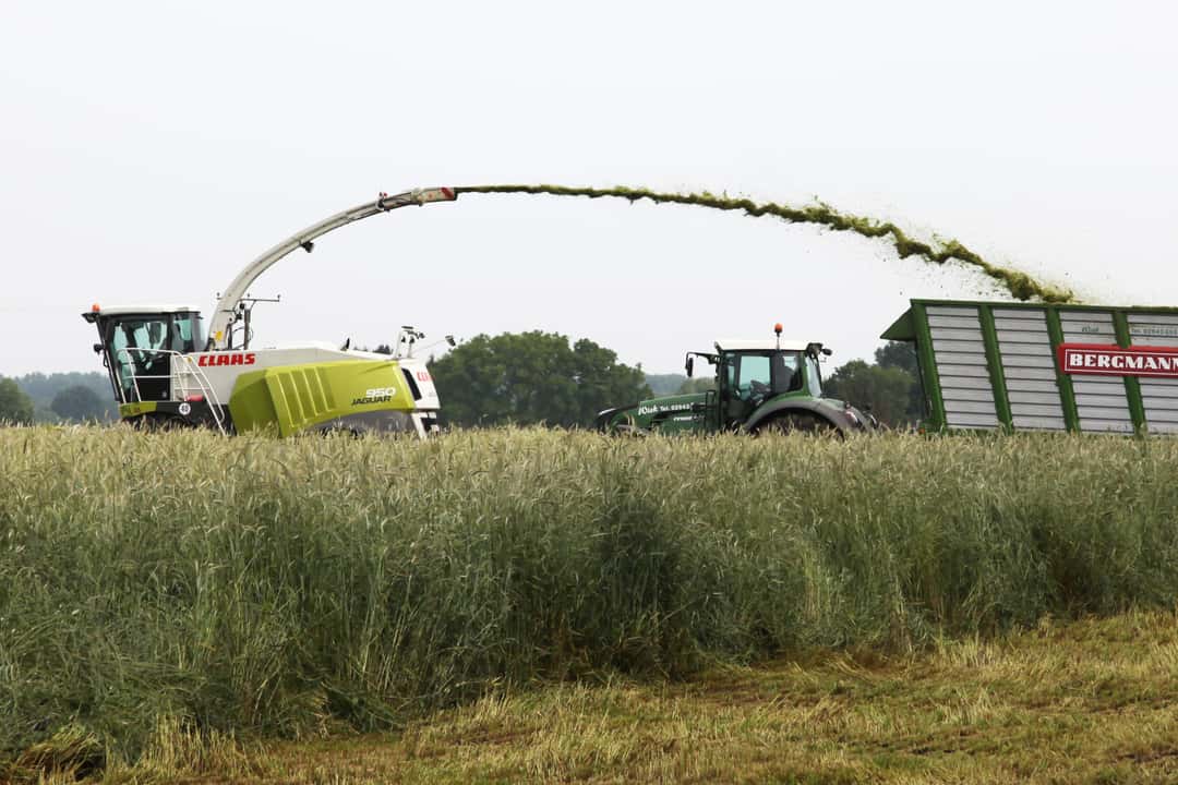 Claas und Agco: Neue Strukturen in Skandinavien | profi online | profi