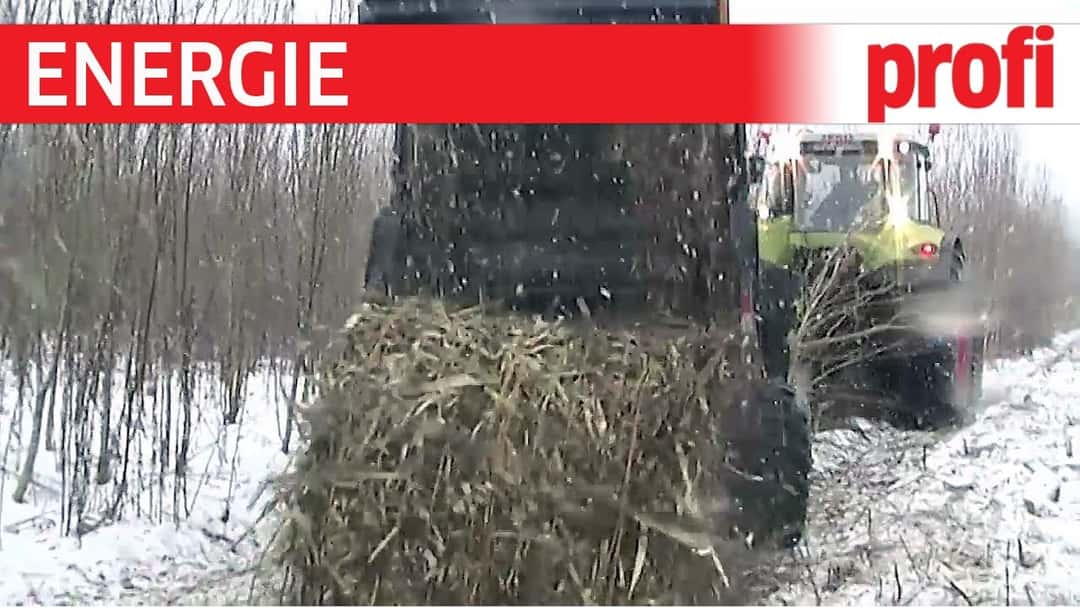 Anderson BioBaler WB 55 | profi online | profi