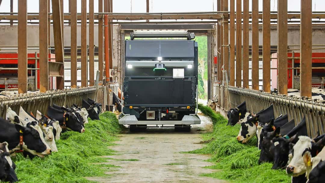 Autonome Frischgrasfütterung mit dem Lely Exos | profi