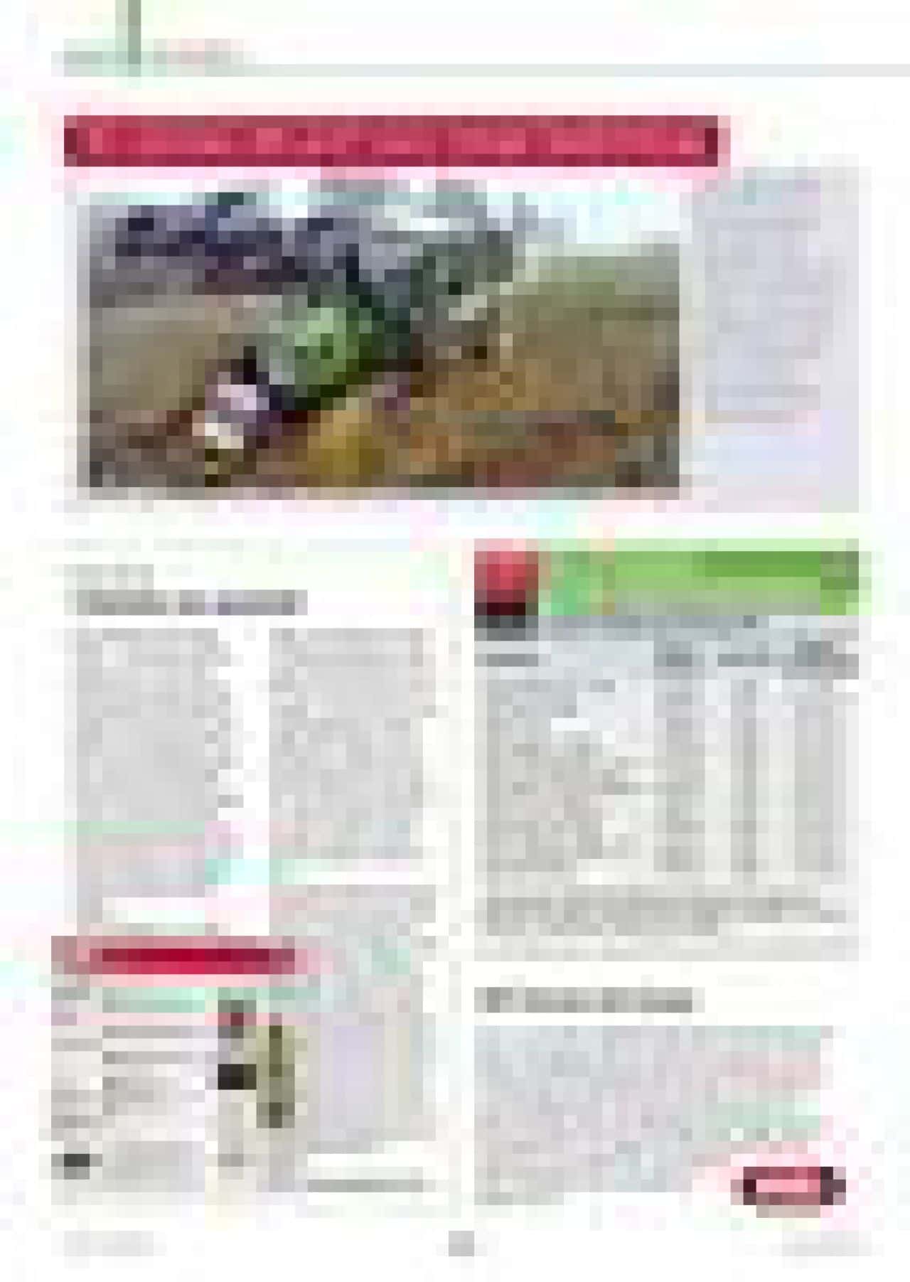 ZF stellt Stufenlosgetriebe Eccom 5.0 vor