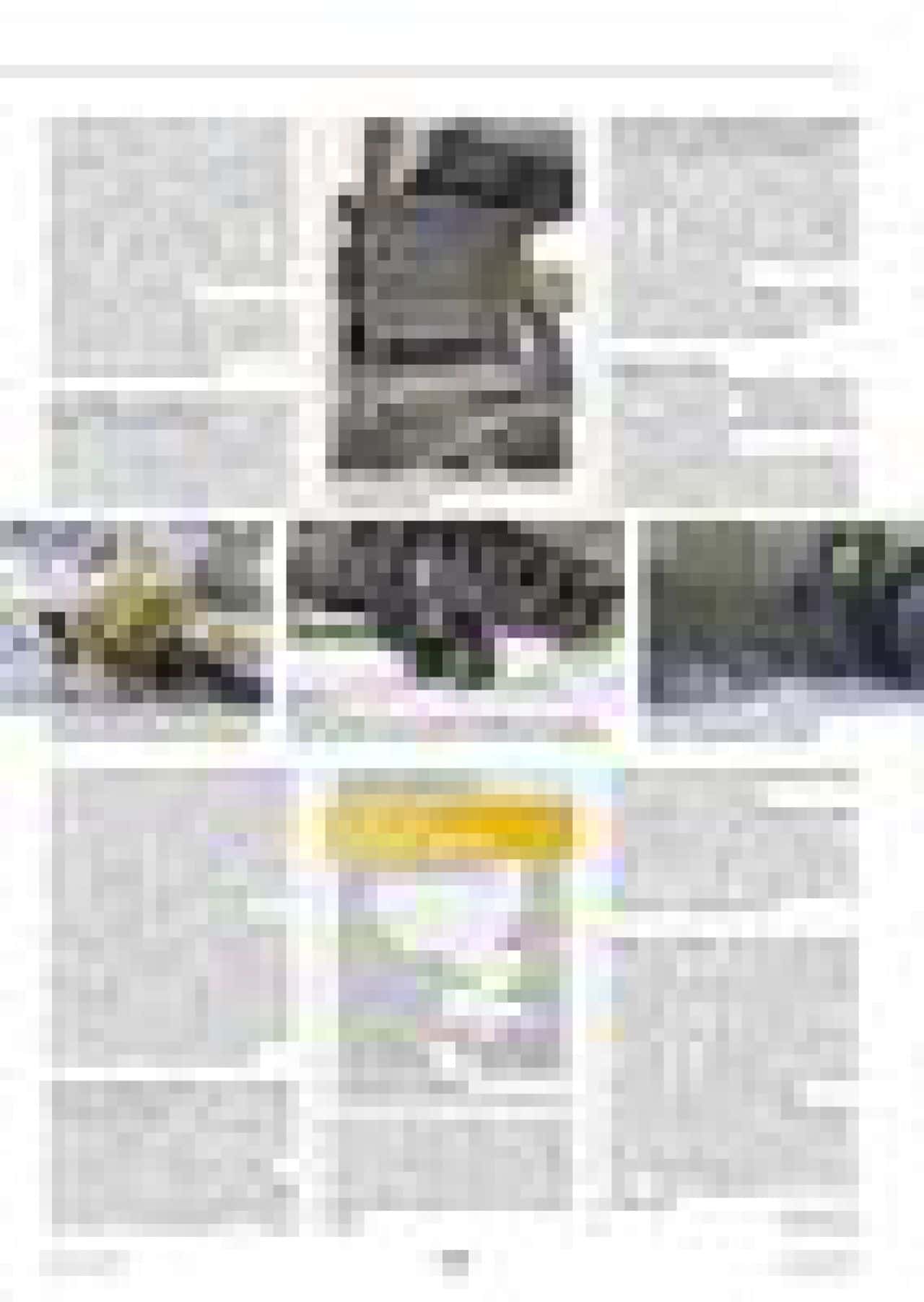 Anderson BioBaler WB 55: Holz in Rundballen