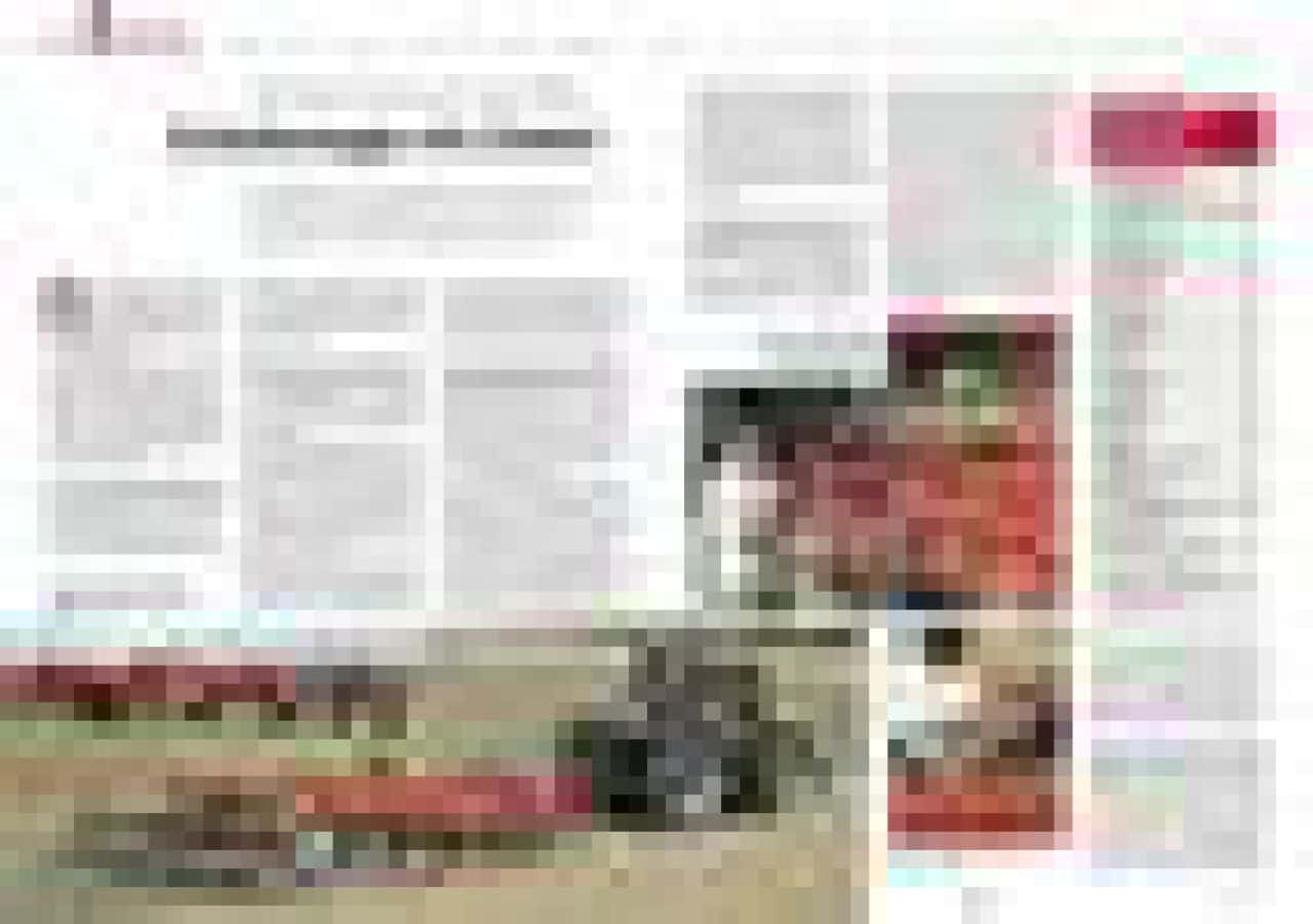 Scheibeneggen-Kombination Discordon von Grégoire Besson: Scheibeneggen ...